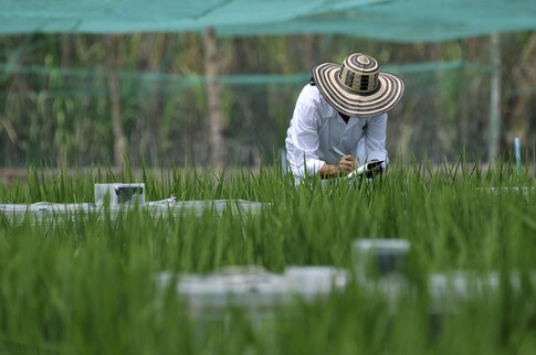 7 ways to boost food security in the face of climate change | World ...