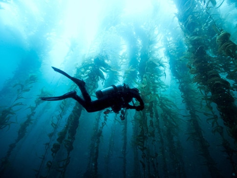 Climate crisis and human activity is affecting our oceans. Here's how ...