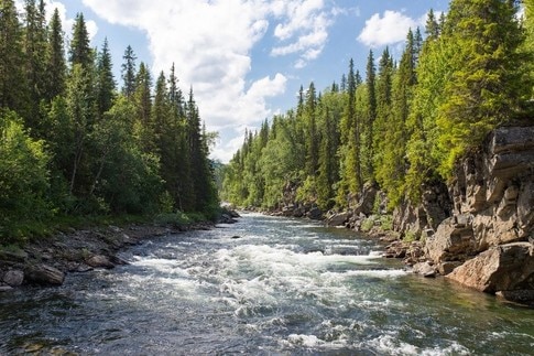 Study: Climate change is altering rivers around the world | World ...