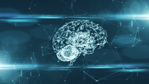 Why it's time we start to think about the brain economy | World ...