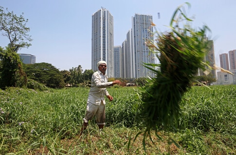 India's farmers are on the cusp of an Agritech revolution | World ...