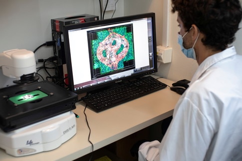 Why cancer is increasing among millennials | World Economic Forum