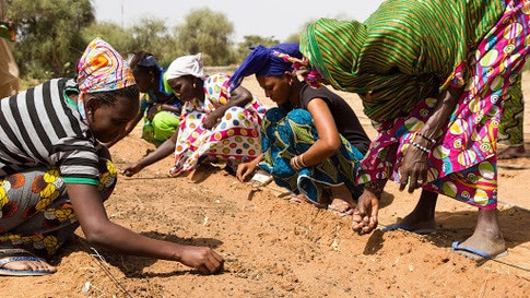 What is Africa’s Great Green Wall land restoration project? | World ...