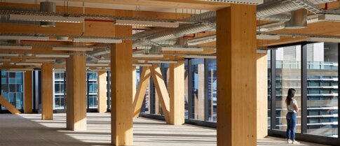 These 5 start-ups are making sustainable timber a reality | World ...