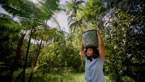 5 film directors capture inspiring climate change solutions | World ...