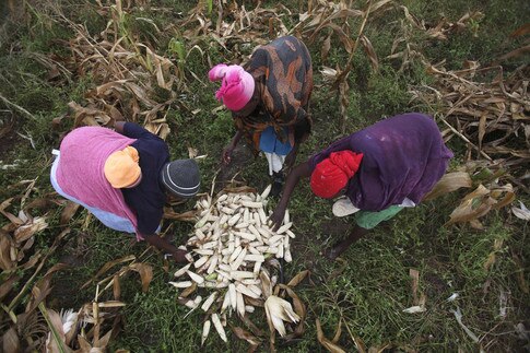This is why food security matters now more than ever | World Economic Forum