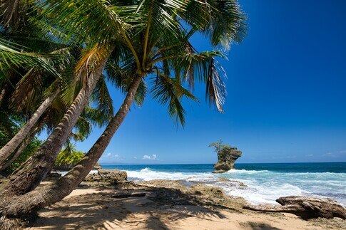 4 critical principles of Dominica’s climate resilience strategy | World ...