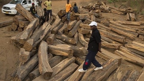 Kenneth Wallen - Agenda Contributor | World Economic Forum