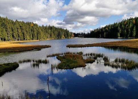 What is groundwater and how can we better protect it? | World Economic ...