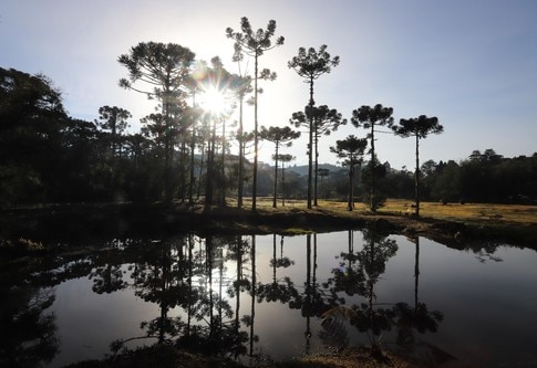 SYSTEMIQ | World Economic Forum