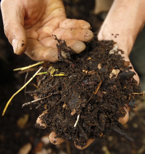 How carbon-smart farming can feed us and fight climate change | World ...