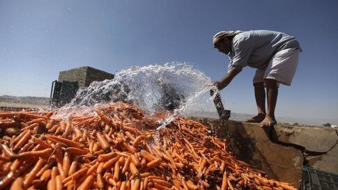 Ibrahim Al-Zu'bi - Agenda Contributor | World Economic Forum