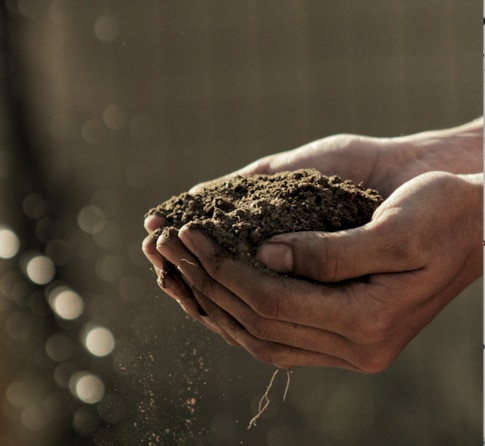 How farmers can improve soil health: an expert explains | World ...