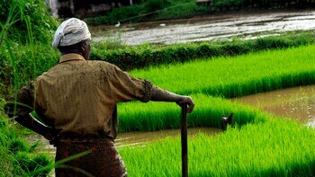 Small-scale farmers can teach us a lot about climate change | World ...