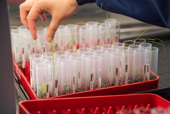 12 climate-smart technologies that could transform farmers lives ...