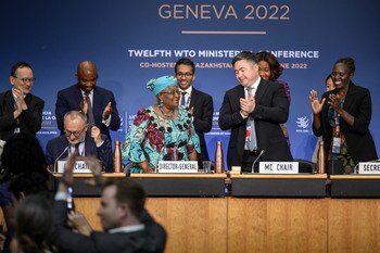Was the WTO's 12th Ministerial Conference (MC12) successful? | World ...