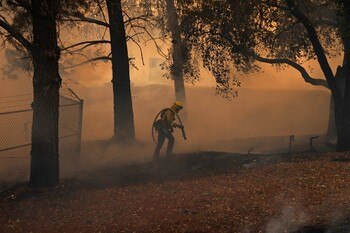 What are the main causes of wildfires and what can we do to prevent ...