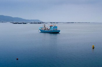 How can technology support the fishing industry? | World Economic Forum