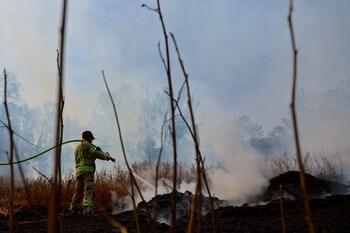 What is eDNA and how does it work? | World Economic Forum