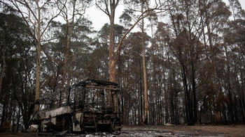 Just Climate | World Economic Forum