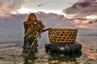 Why sustainable aquaculture is essential to feed the world | World ...