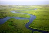 5 critical incentives that could protect nature and climate | World ...