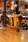 The breweries going green to battle climate change | World Economic Forum