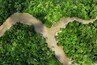 What are the Amazon's 'flying rivers’ – and how does deforestation ...