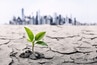Innovative funding tools for climate adaptation and resilience | World ...