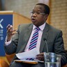 Mthuli Ncube - Agenda Contributor | World Economic Forum