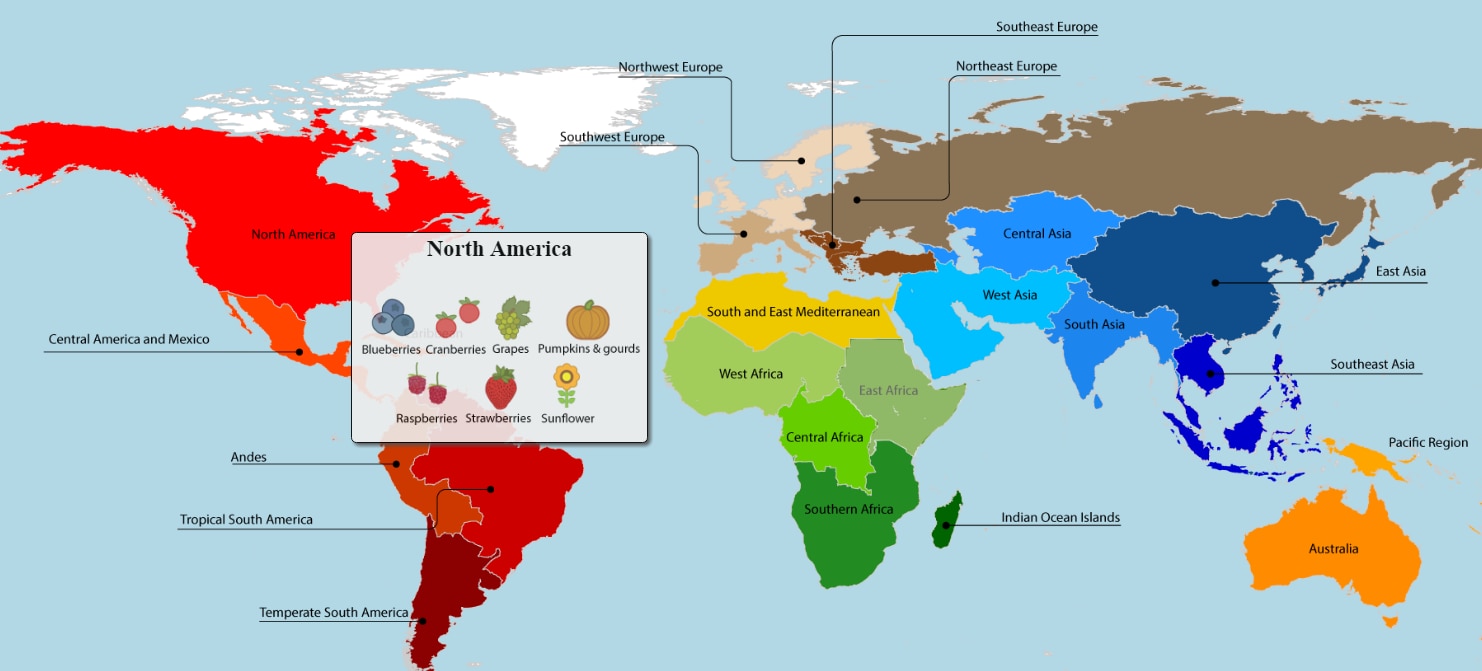 This map shows where your food really comes from – and it might ...