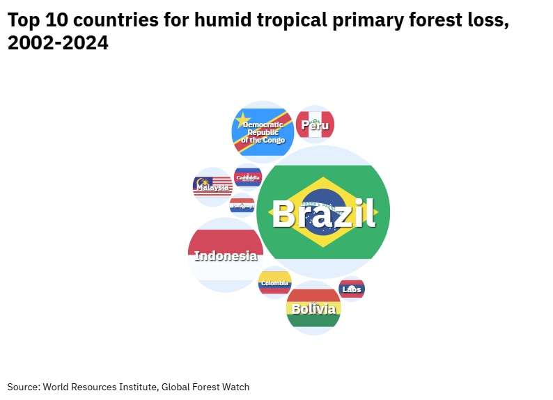 Tropical deforestation's toll on human life, and other climate and ...