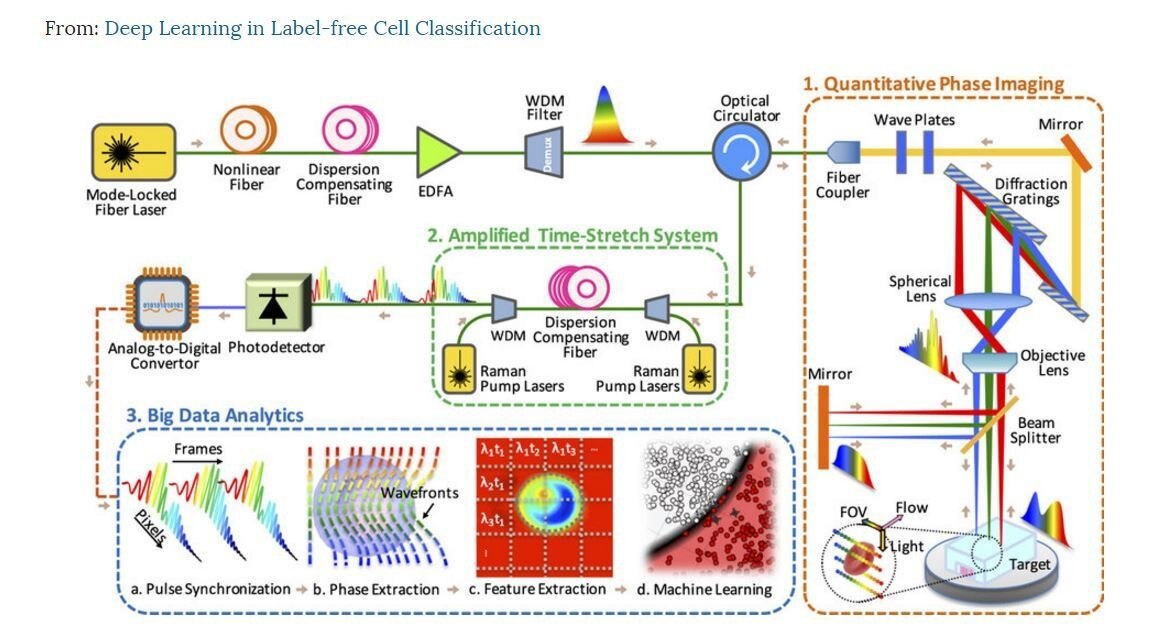 This microscope uses artificial intelligence to detect cancer cells ...