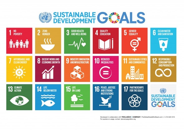 The 17th Sustainable Development Goal could help us achieve the other ...