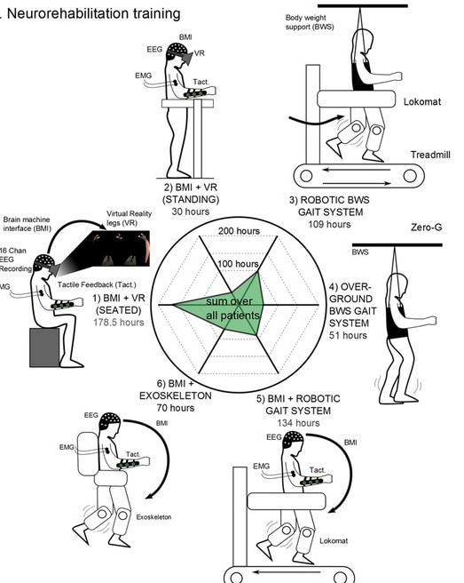 How paralysed patients powered machines with their minds to move again ...
