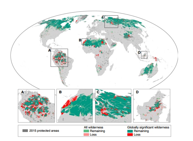 Human activity is destroying our wilderness. This map shows the extent ...