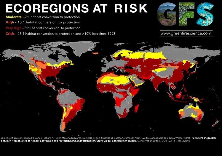 Humans are taking over, and we're putting the world's ecosystems at ...