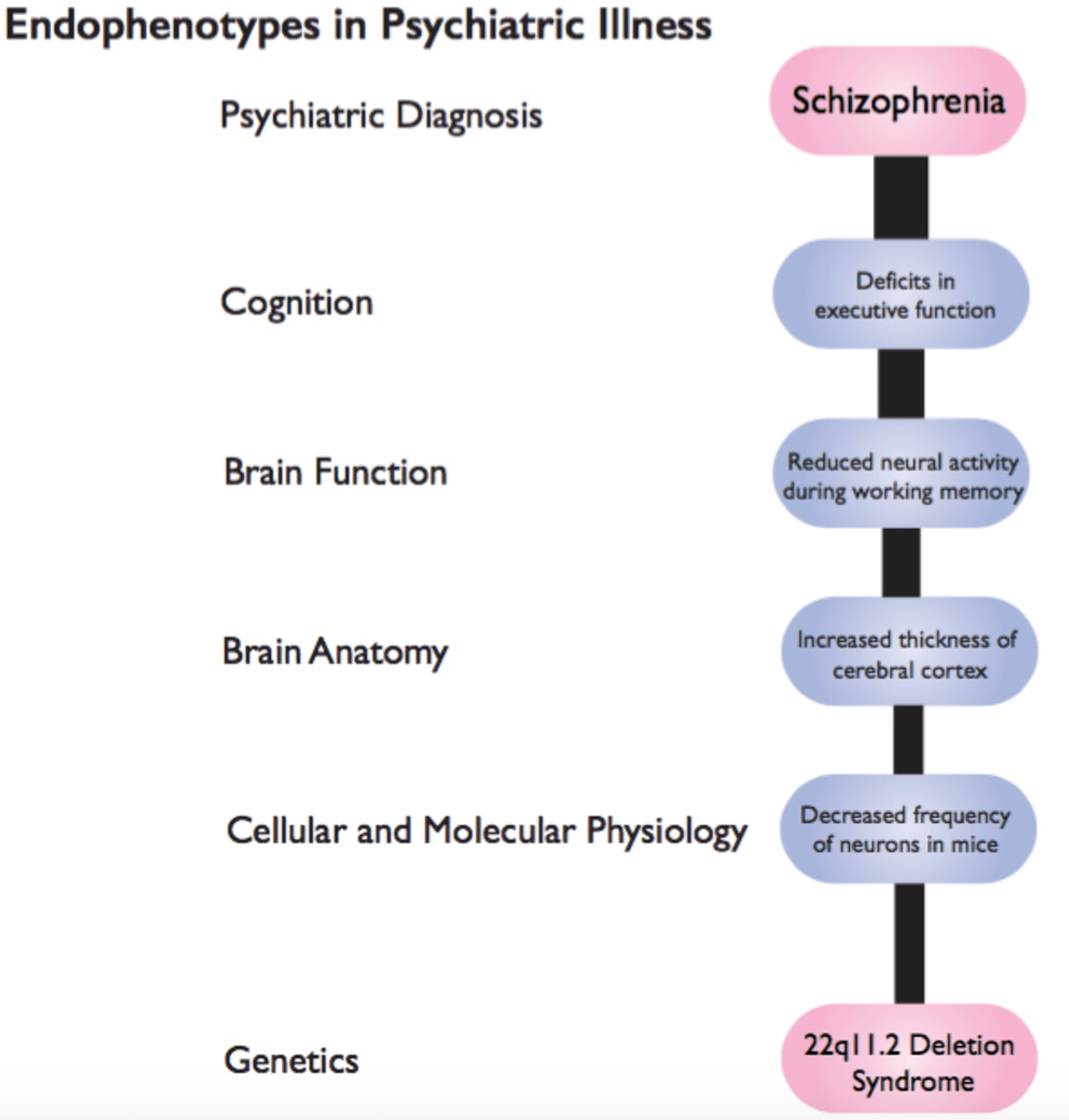 The new research connecting genetic variations to schizophrenia and ...