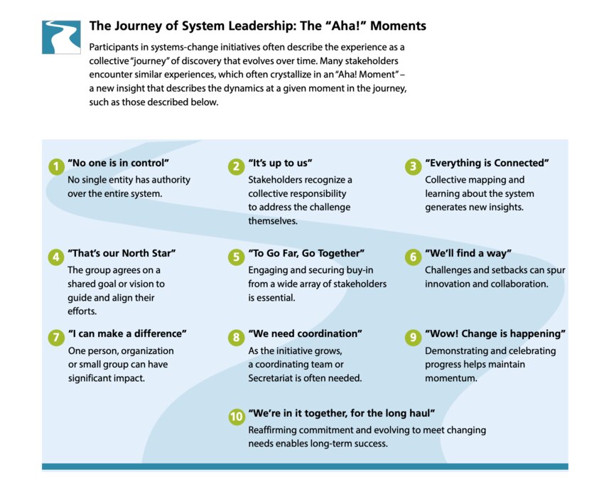 Systems leadership can change the world - but what exactly is it?