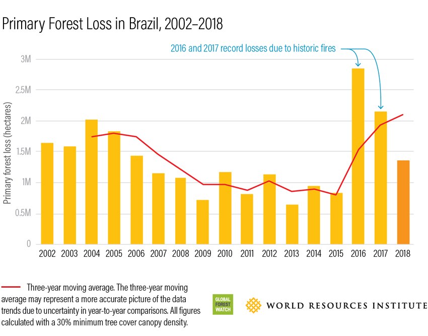 These charts show just how much forest we're losing every year | World ...