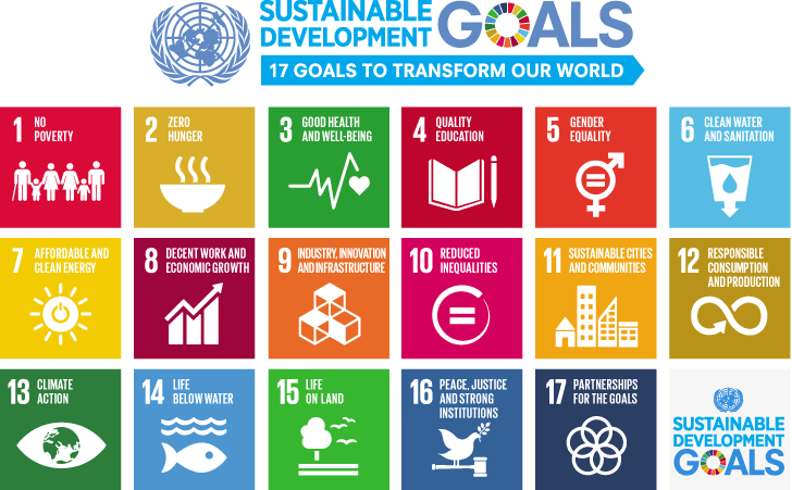The UN has a 17-step plan to save the world | World Economic Forum