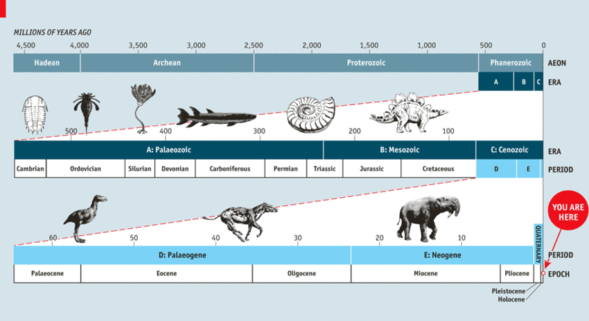 What is the Anthropocene? And why does it matter? | World Economic Forum