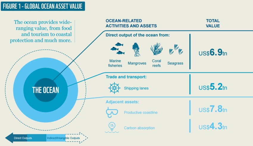 Our oceans need a global rescue operation – now | World Economic Forum