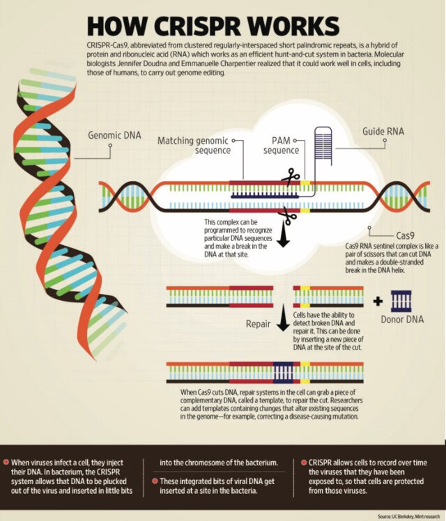 How to optimize human biology | World Economic Forum