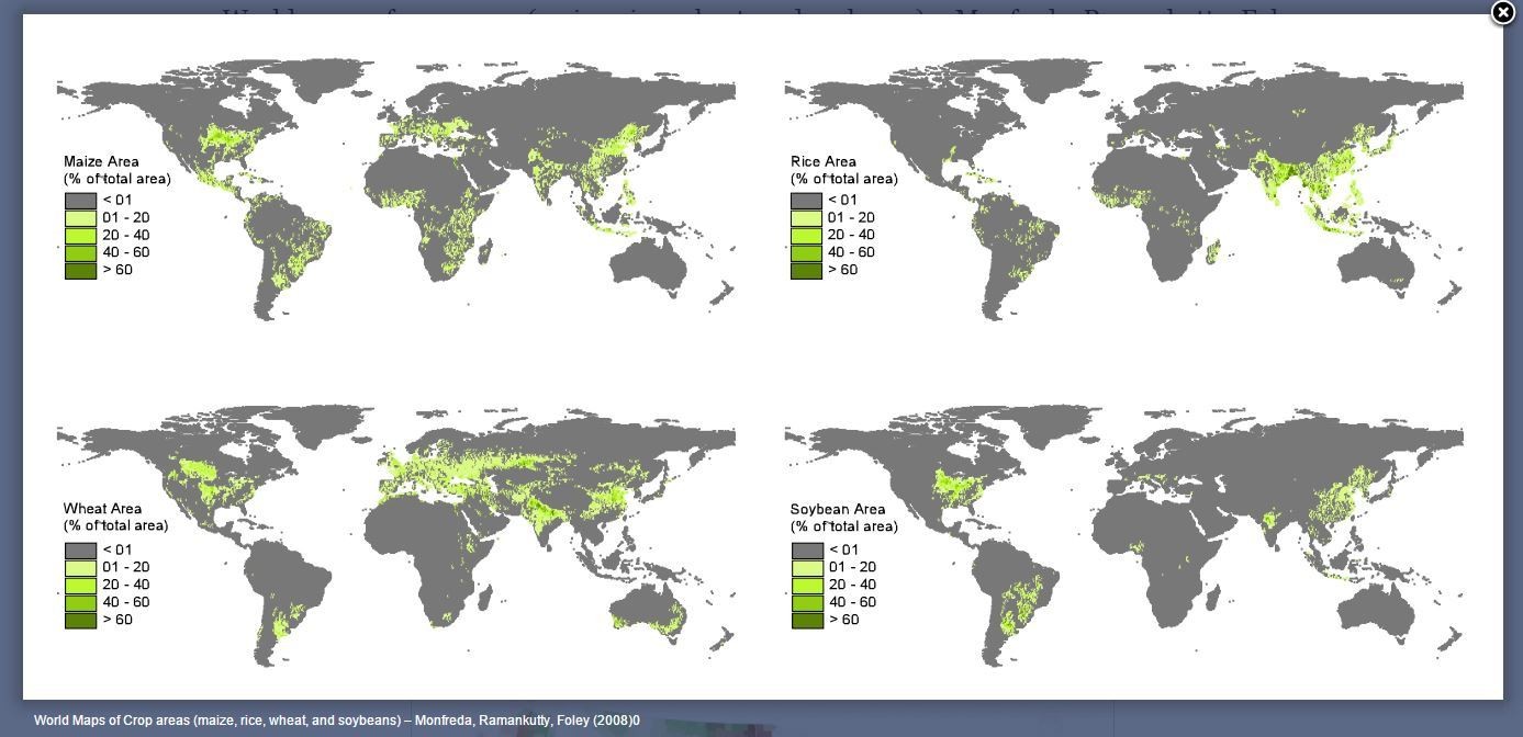 Global Health Org Chart
