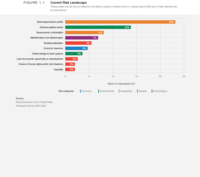 Global Risks Report 2025 | World Economic Forum