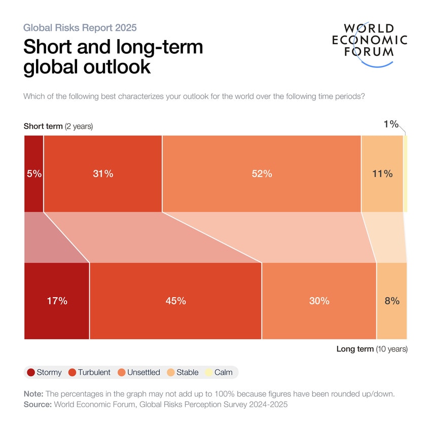 Global Risks Report 2025 | World Economic Forum