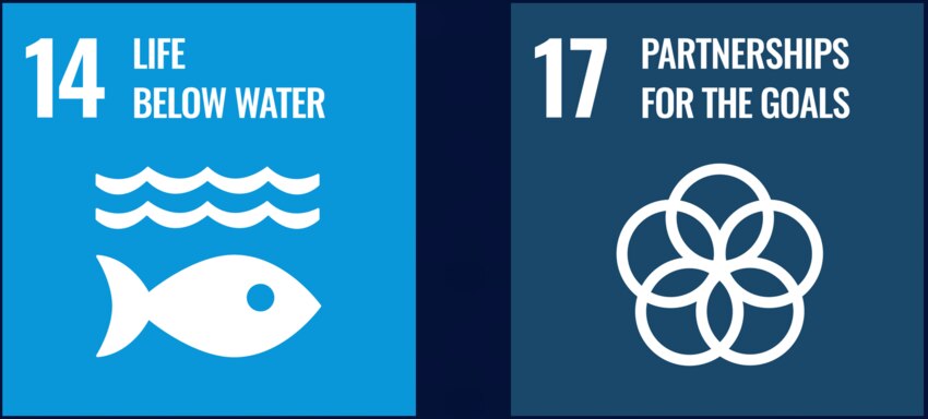 Ocean innovation > Friends of Ocean Action | World Economic Forum