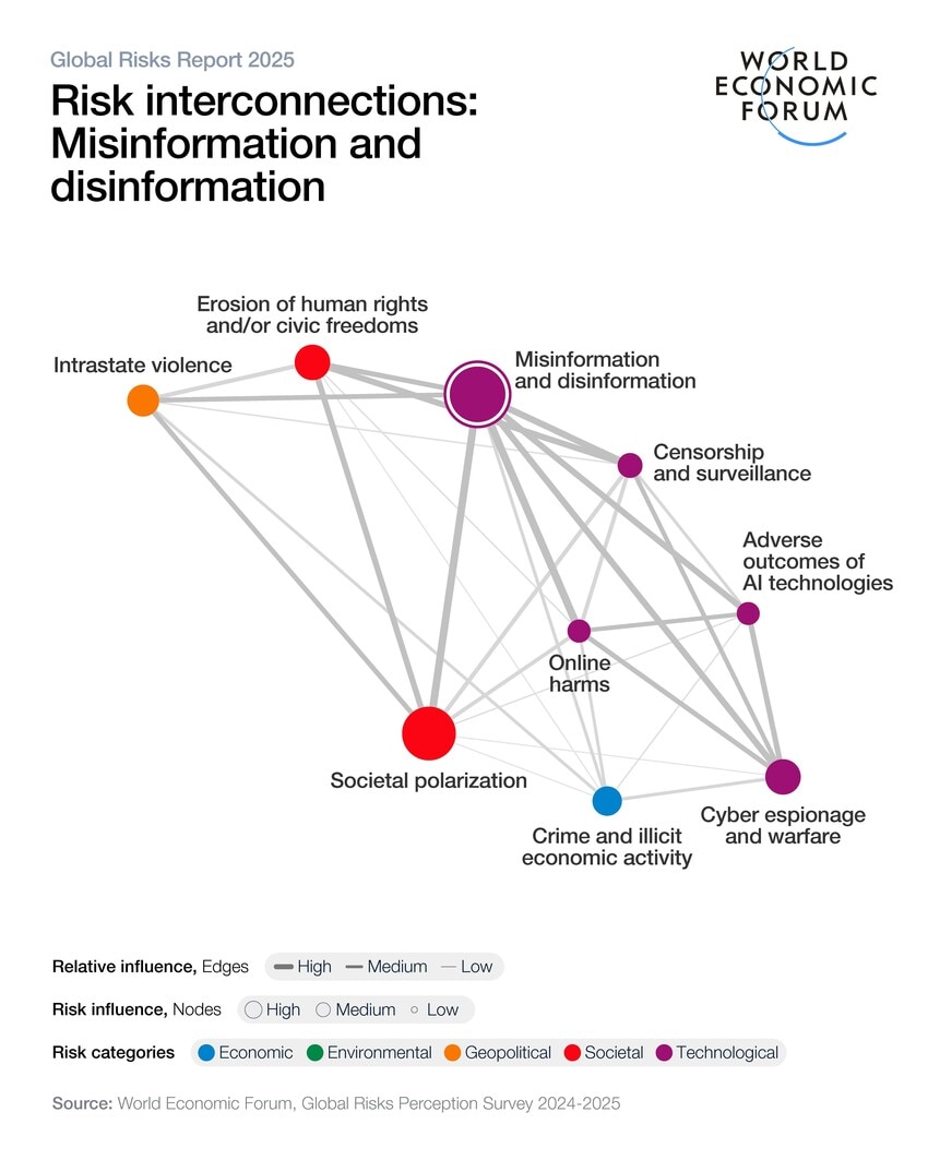 Global Risks Report 2025 | World Economic Forum