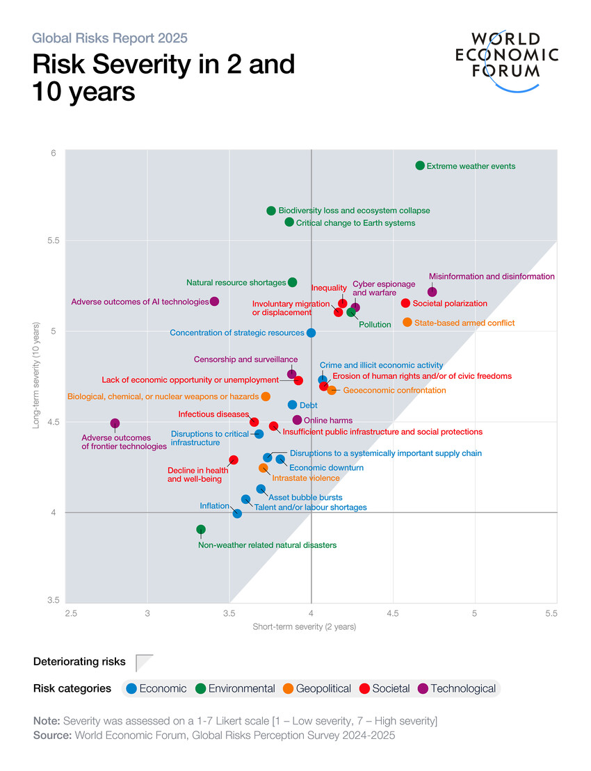 Global Risks Report 2025 | World Economic Forum